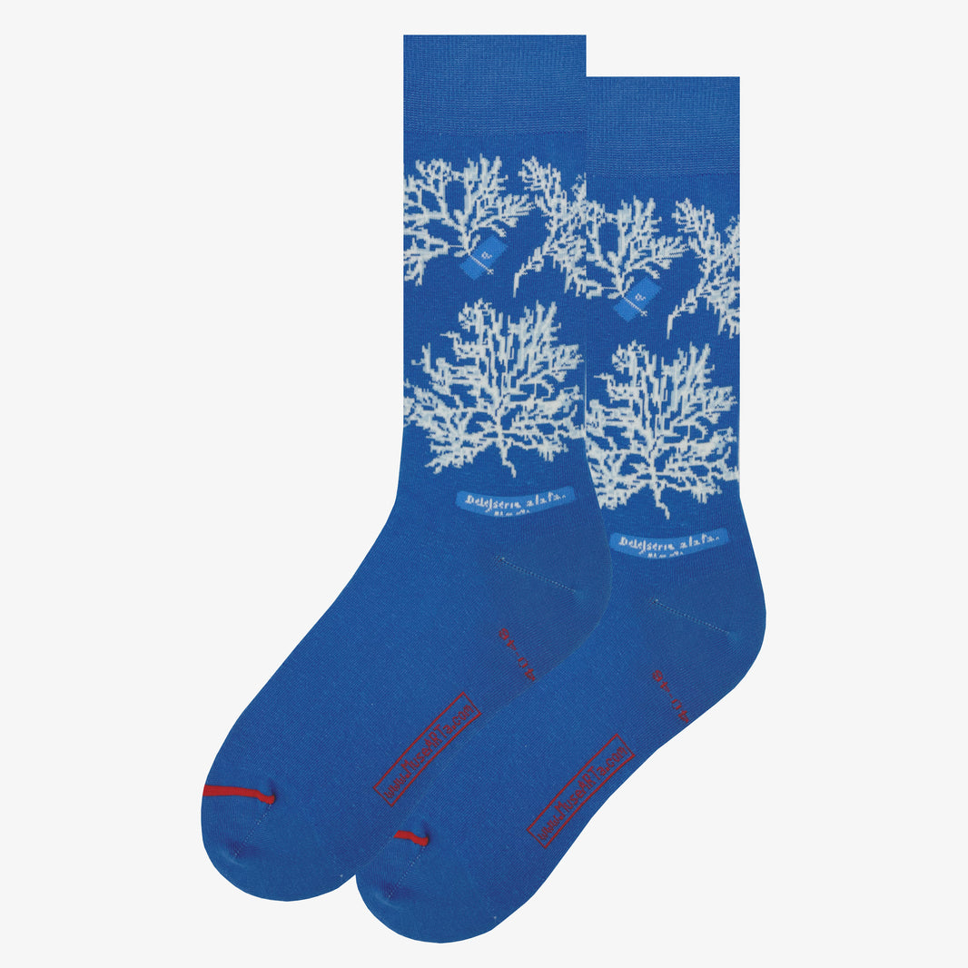 MuseARTa – Page 16 – MuseARTa.com